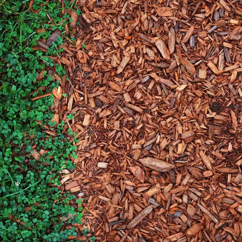 Cedar Wood Chips - Peters Hauling and Supply