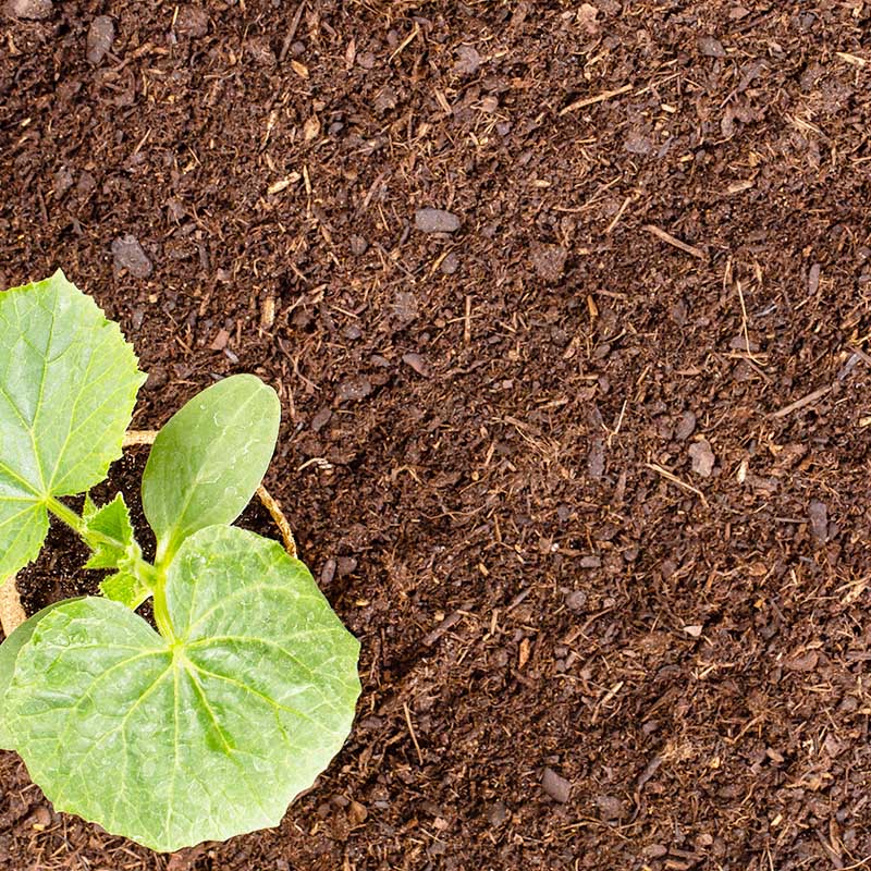 Fine Alder Bark Mulch - Peters Hauling and Supply